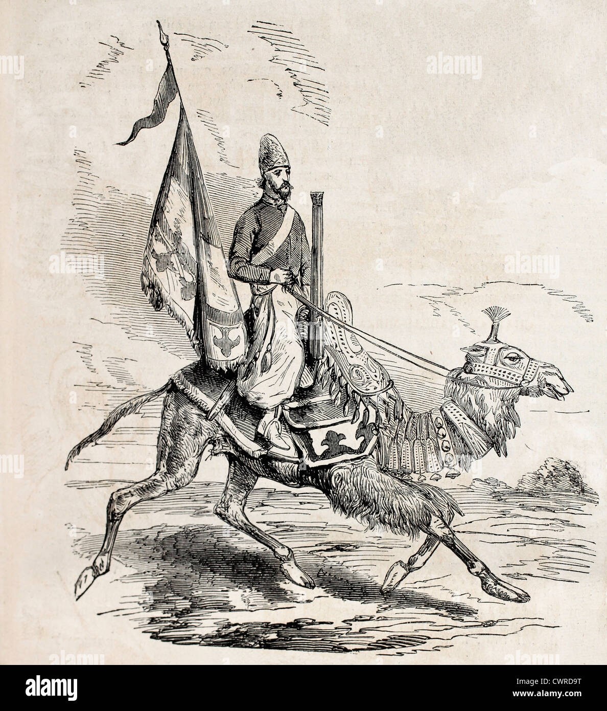 Artillery harness hi-res stock photography and images - Alamy