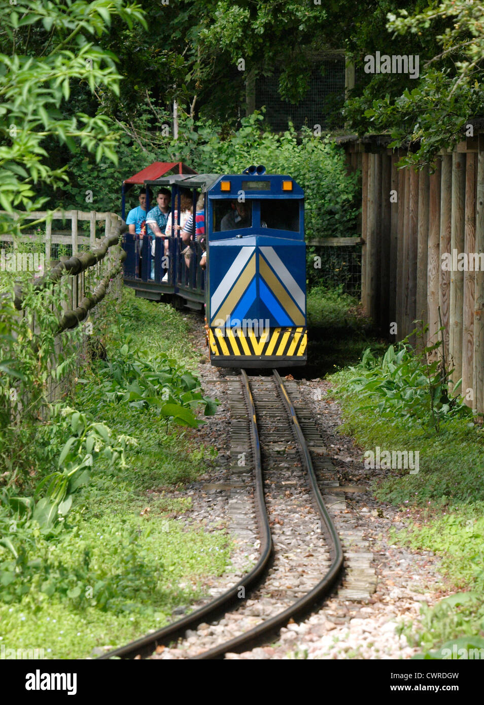 Narrow gauge diesel railway, Beale Park, Reading, Berkshire, UK Stock ...