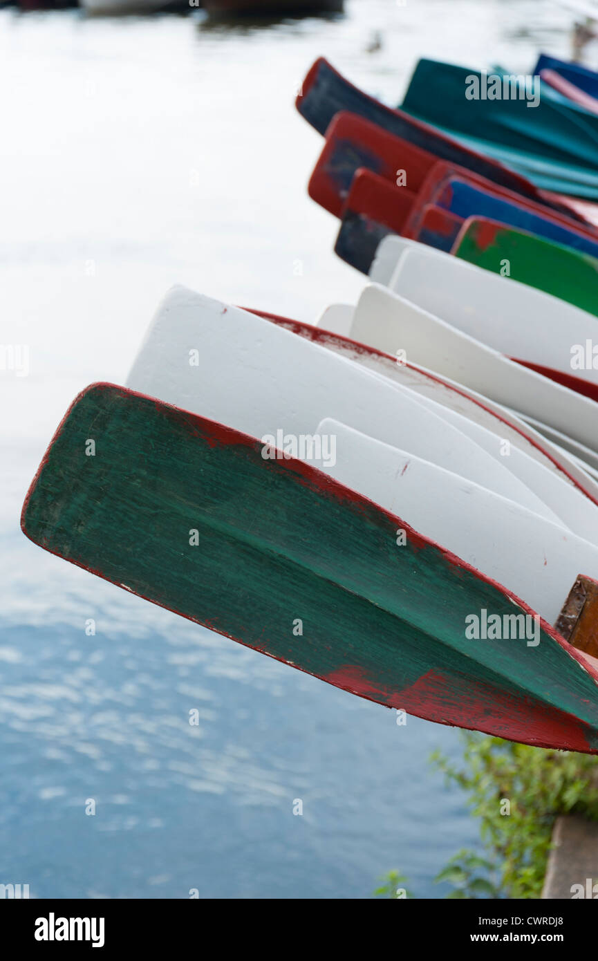 Stacked rowing oars hi-res stock photography and images - Alamy