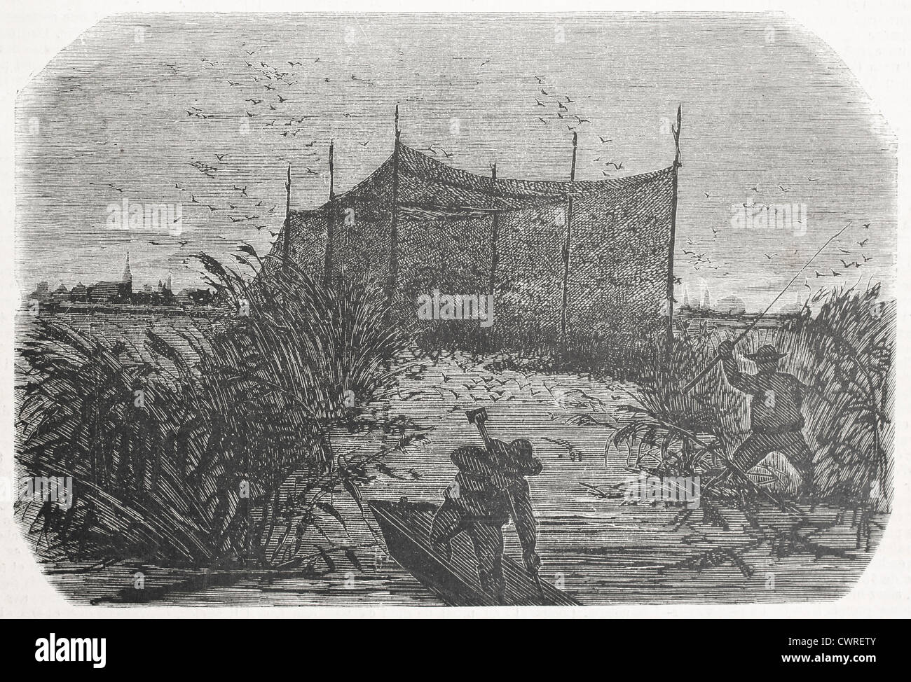 Historical hunting trap hi-res stock photography and images - Alamy