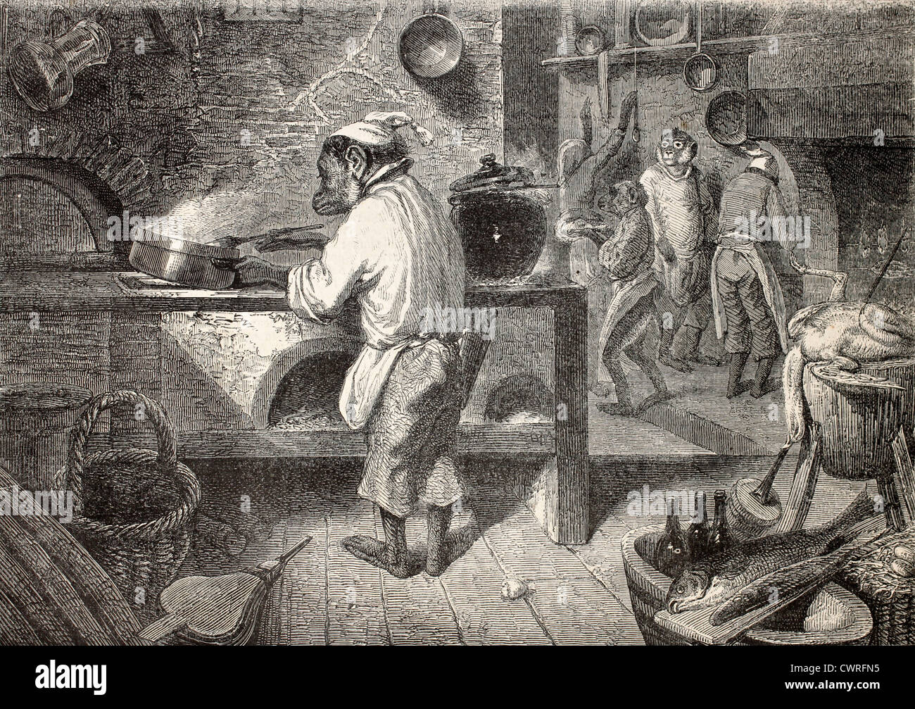 Kitchen with monkeys cooking Stock Photo - Alamy