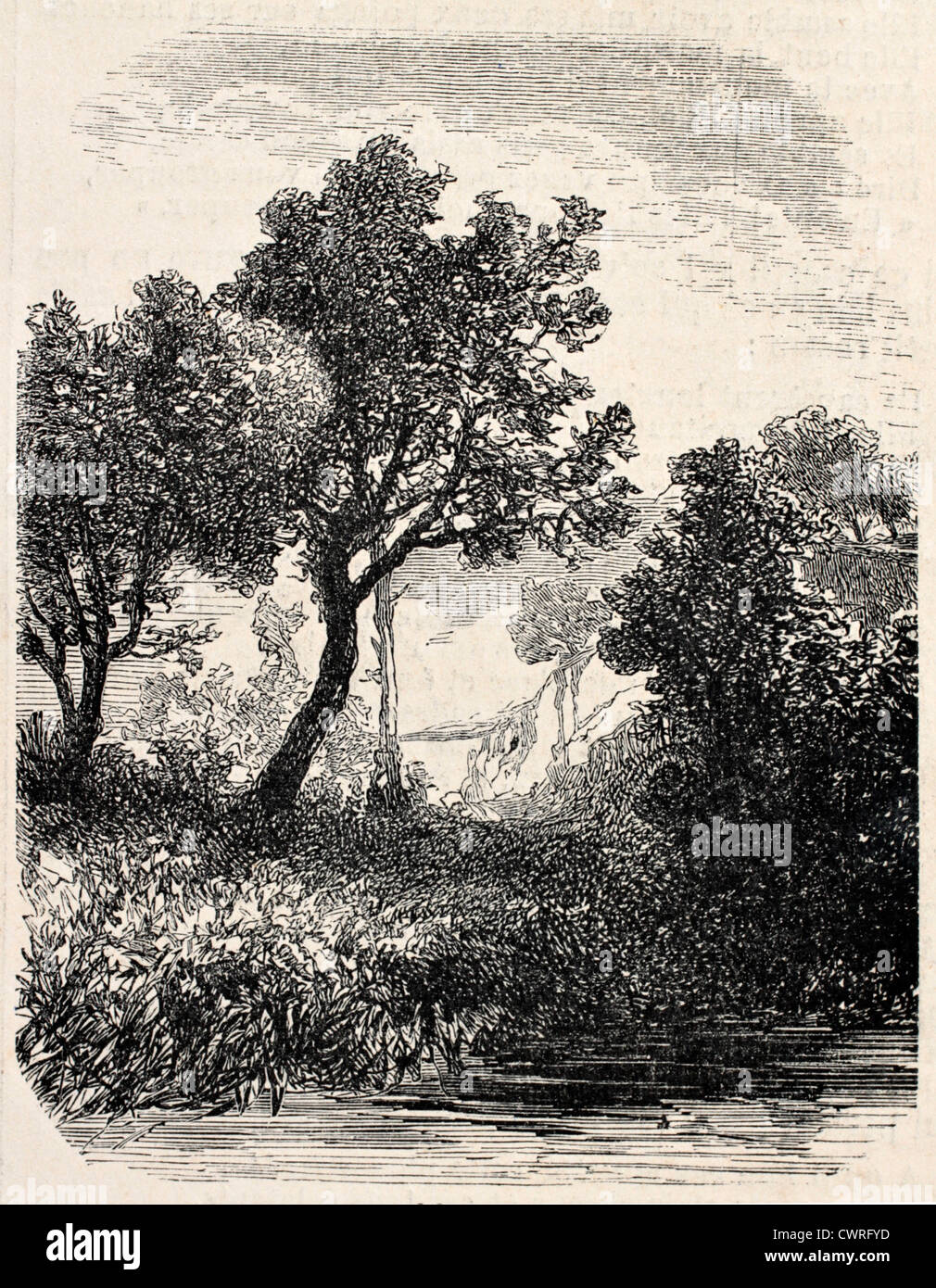 Antique illustration of natural landscape Stock Photo - Alamy