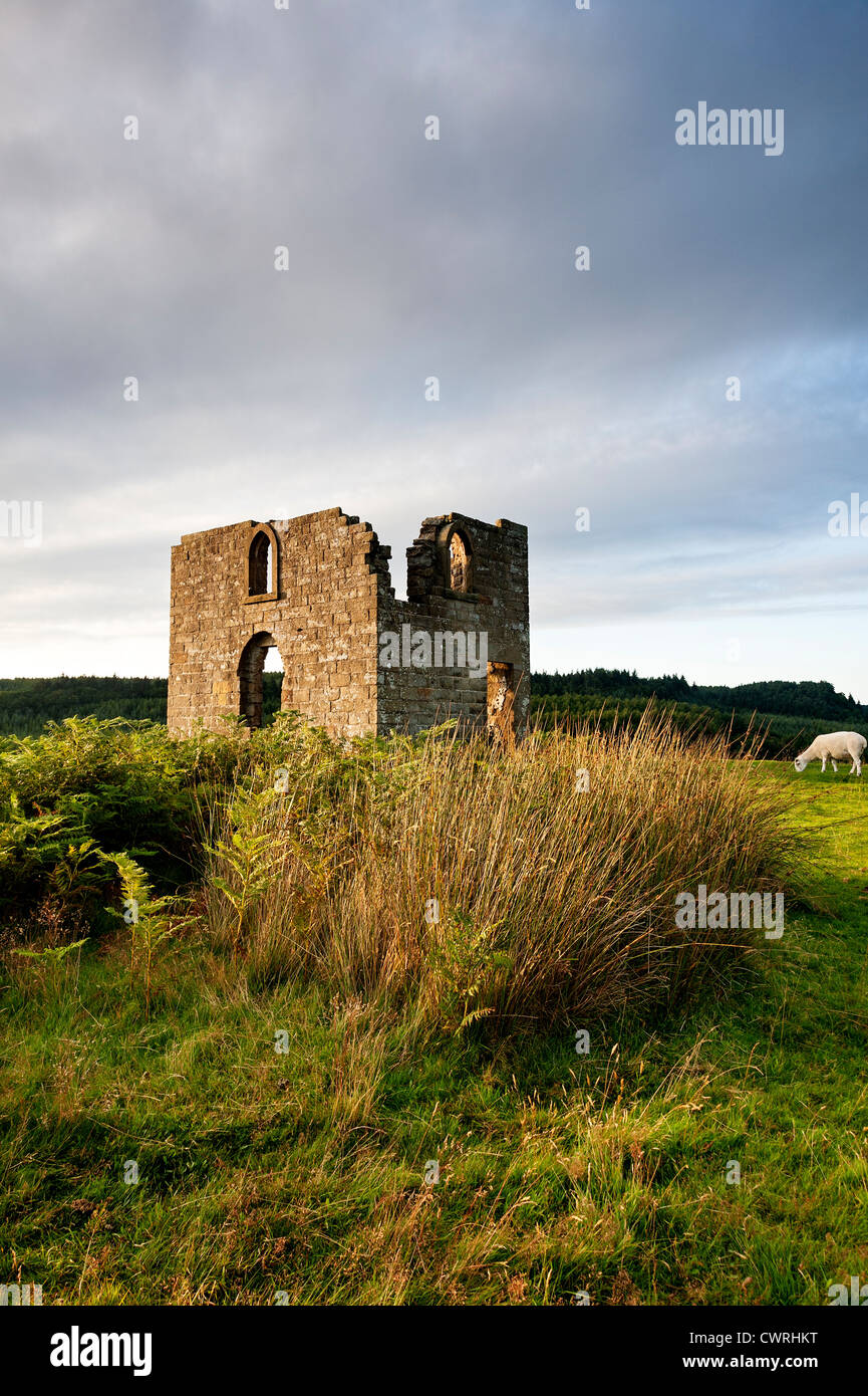 The ruin of Skelton Tower overlooking Newtondale in the North Yorkshire ...