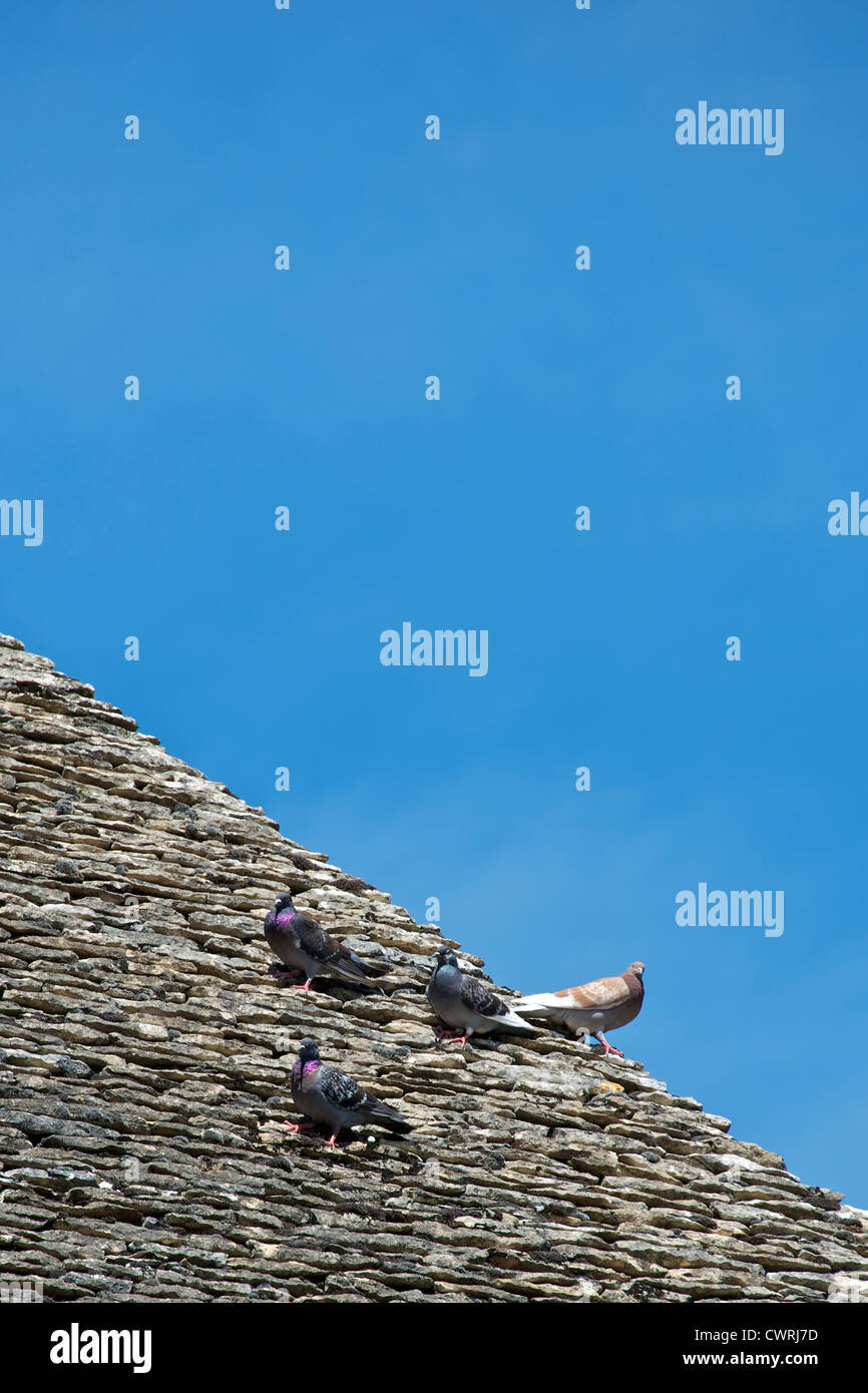 La lauze hi-res stock photography and images - Alamy