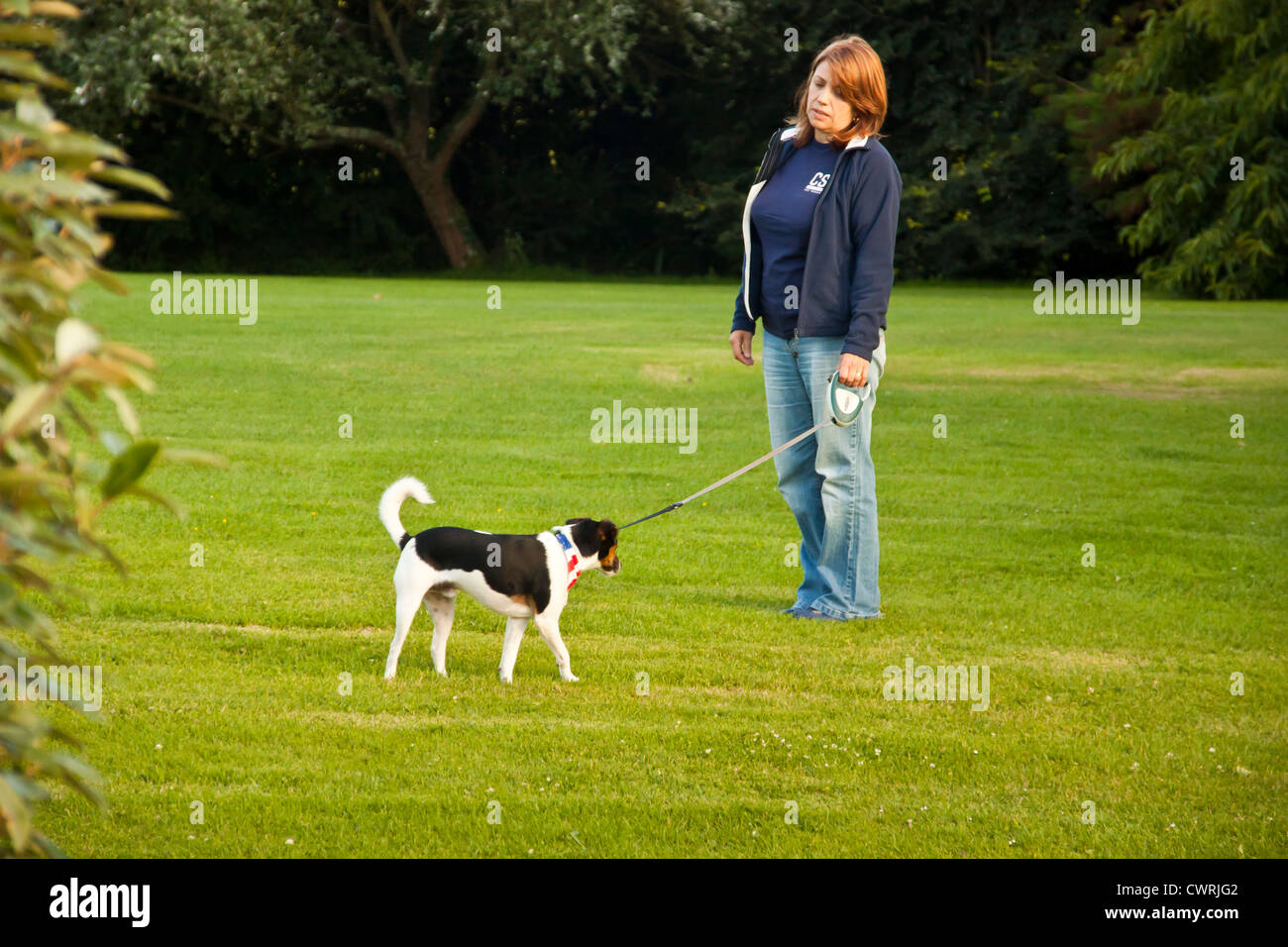 Woman walking exercising her dog on lead Stock Photo - Alamy