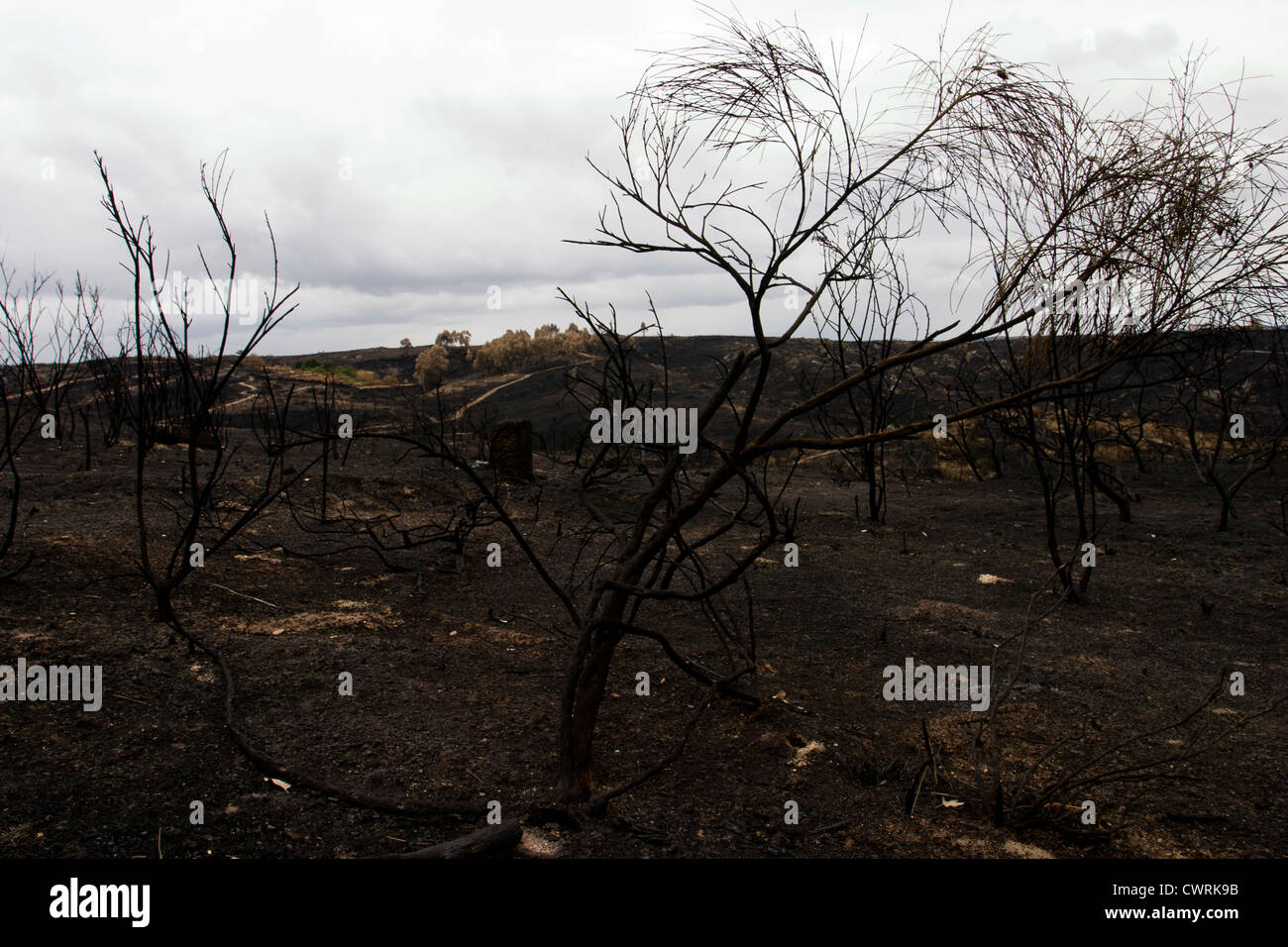 Fire fatality hi-res stock photography and images - Alamy
