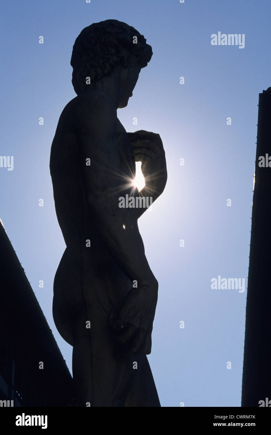 statua del david, piazza della signoria, firenze (florence), tuscany ...