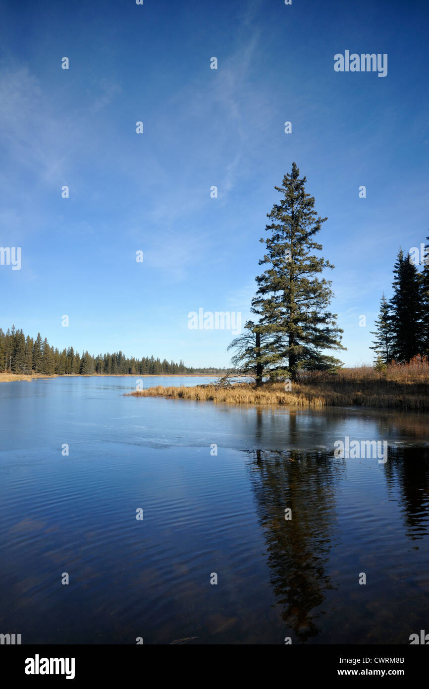 Whirlpool Lake with fresh ice in late autumn, Riding Mountain National ...