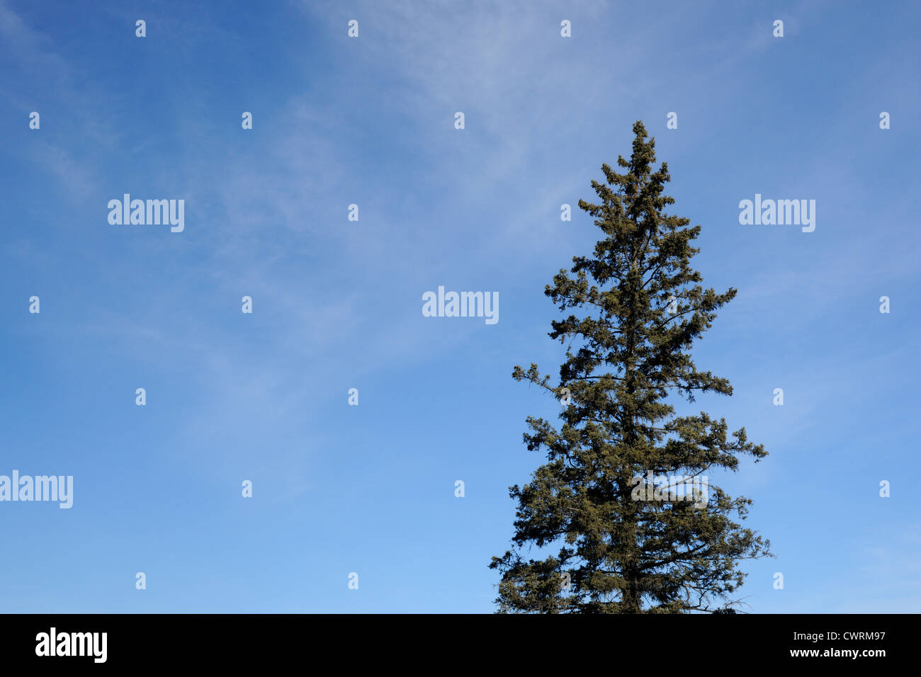 Boreal mountain hi-res stock photography and images - Alamy