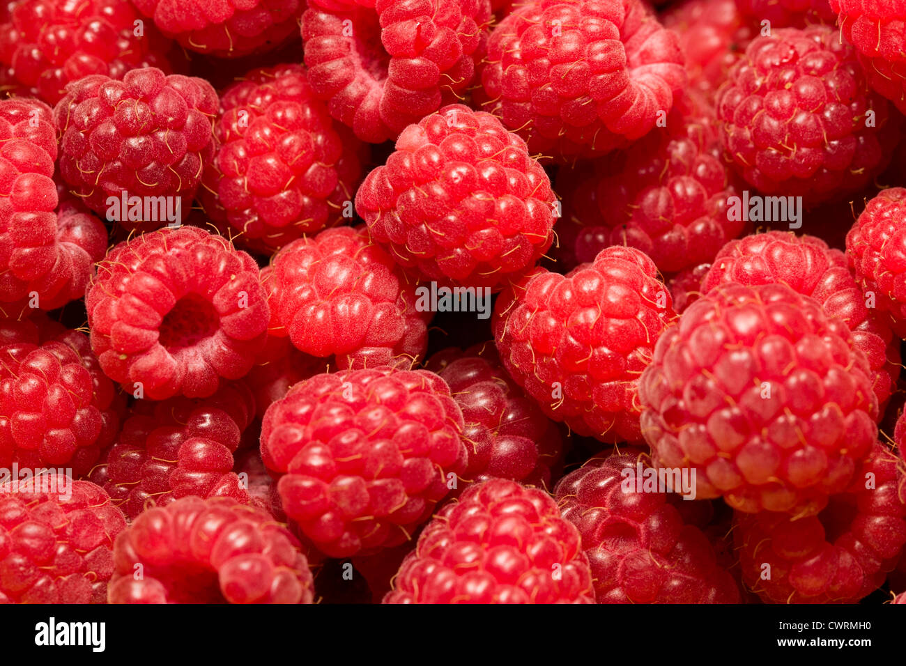 close up of berry Stock Photo - Alamy