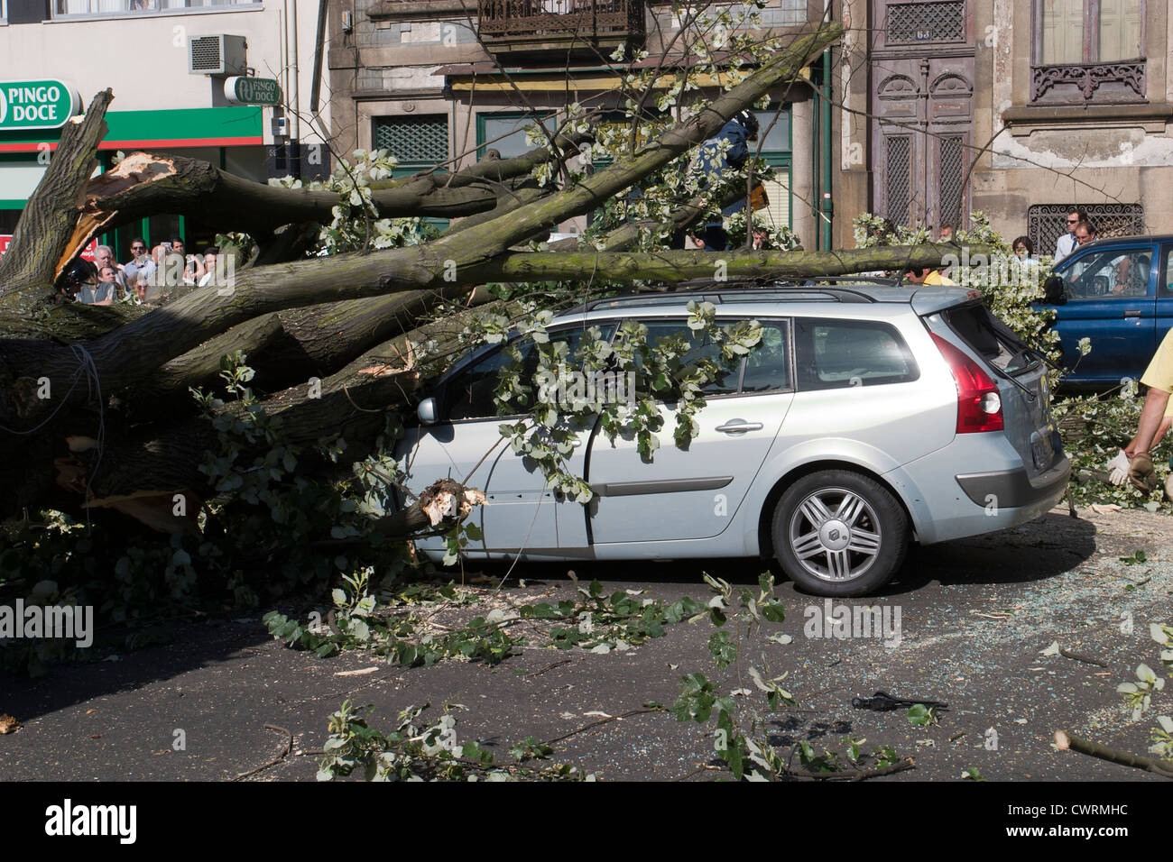 Car crashed into tree hi-res stock photography and images - Alamy