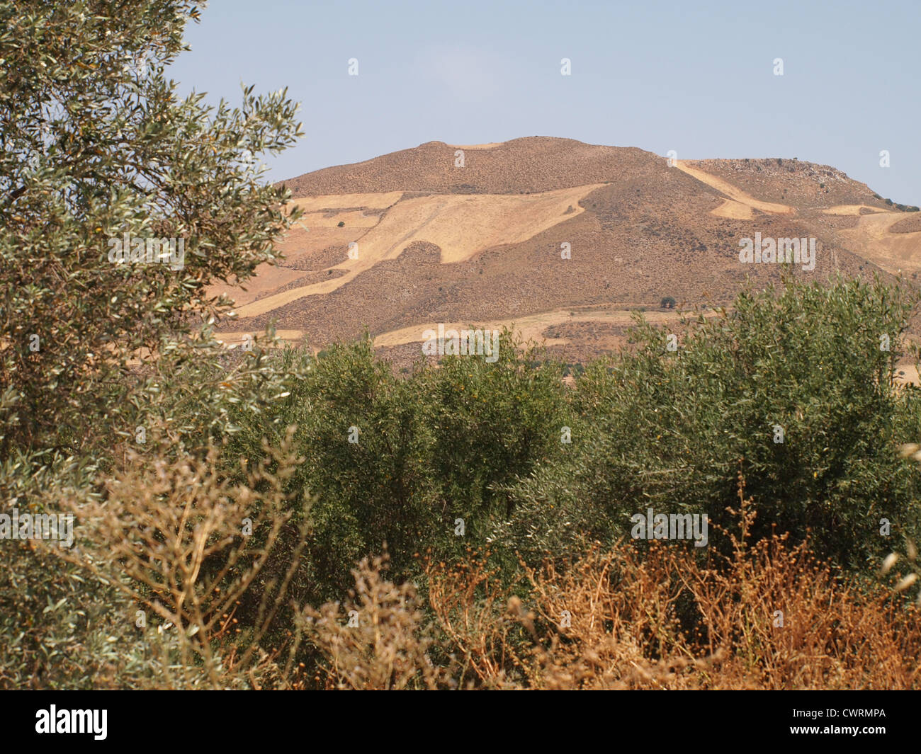 A colorful hill Stock Photo - Alamy