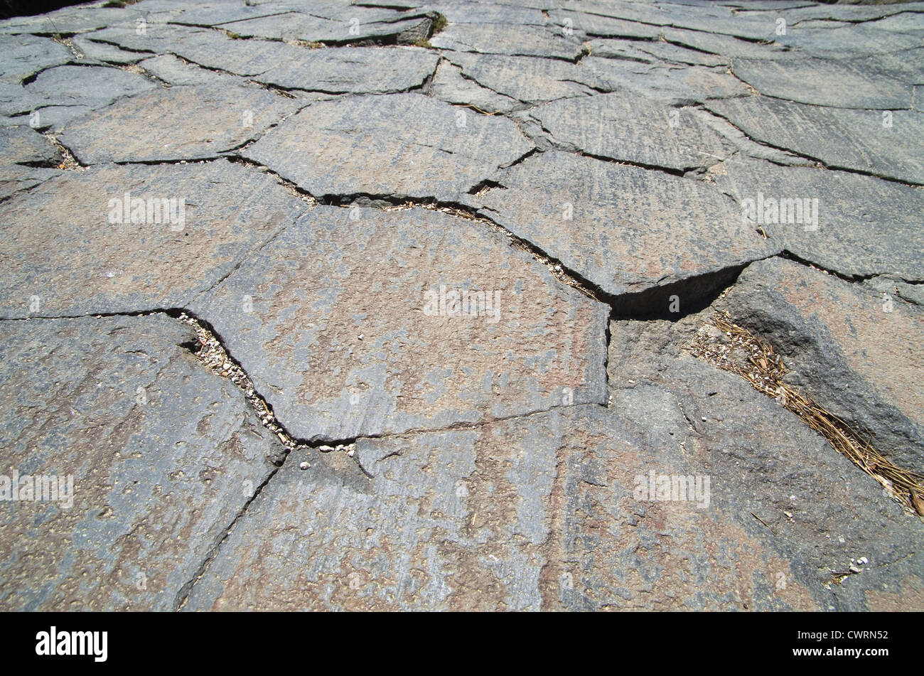 angled image of columnar basalt tops smoothed by glacial polish at ...