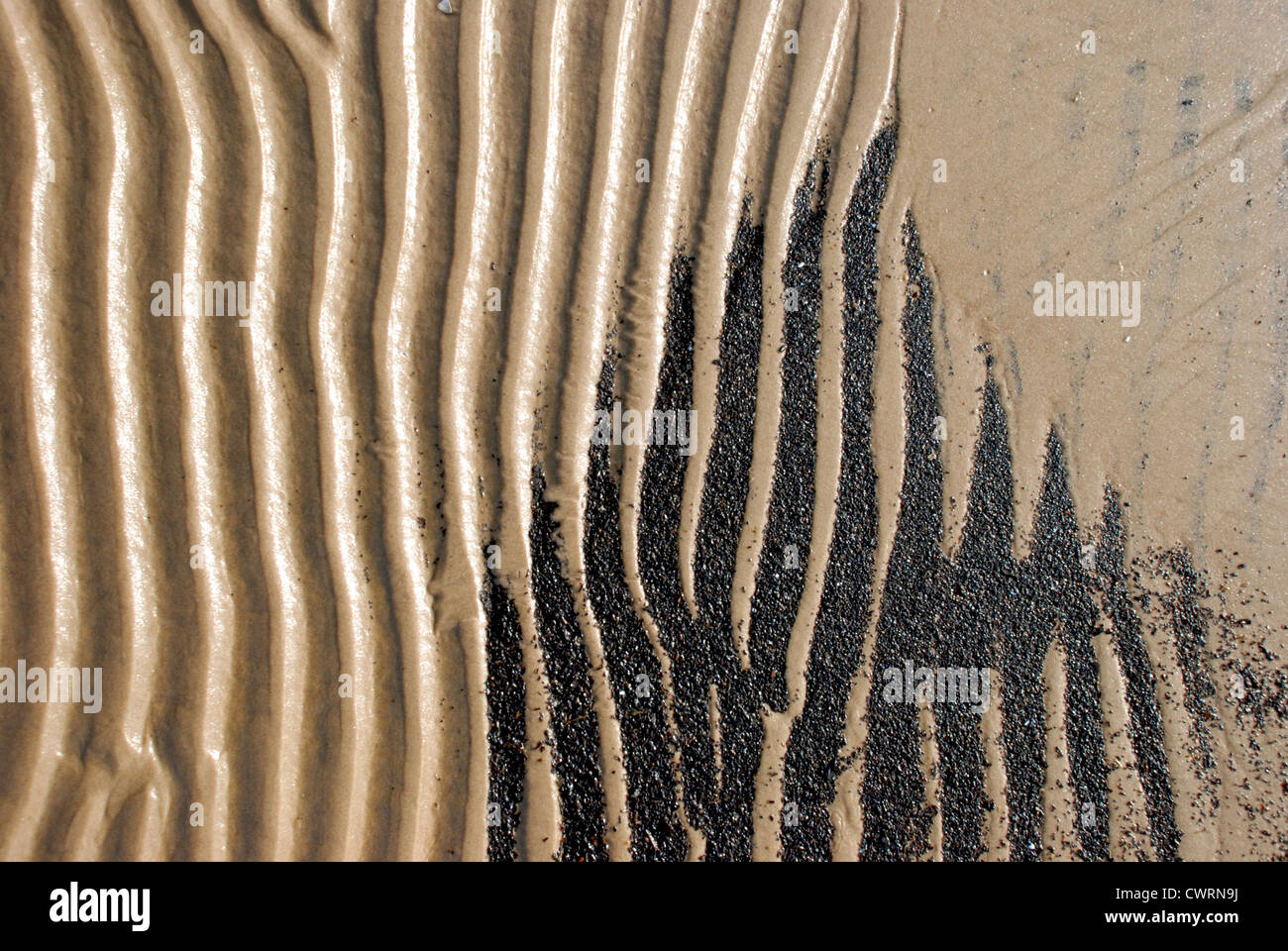 Background of the sea shore fragment. Sea sand waves form at the coast ...