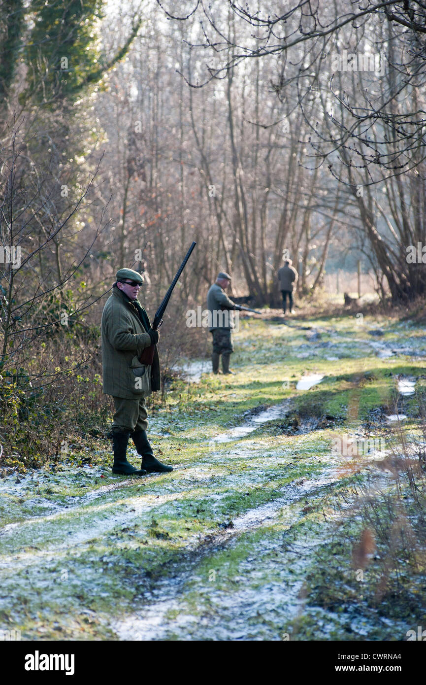 Driven game shooting hi-res stock photography and images - Alamy