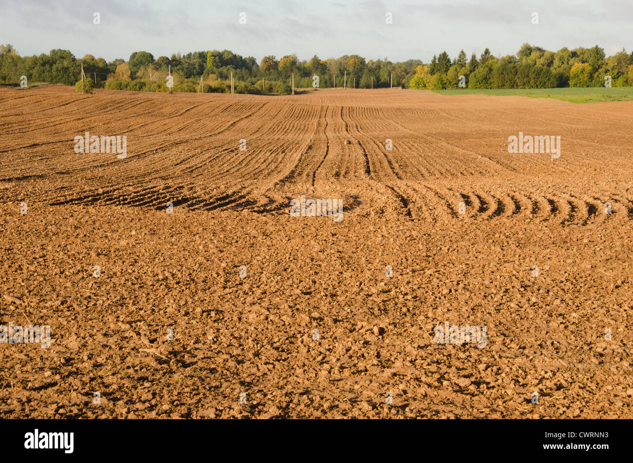 Loam soil hi-res stock photography and images - Alamy