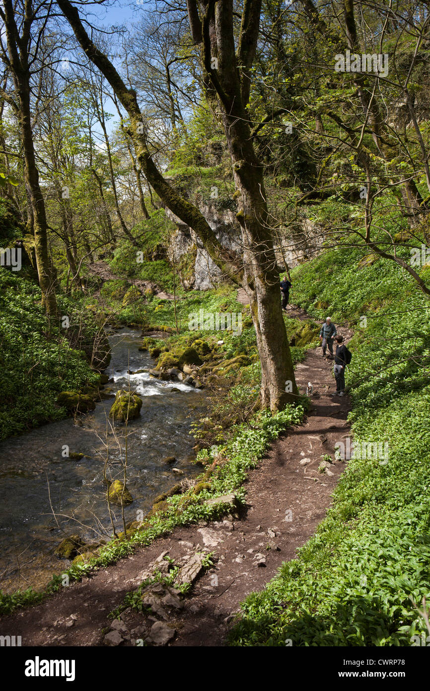 UK, England, Yorkshire, Malham, Janet’s Foss, walkers on path beside ...