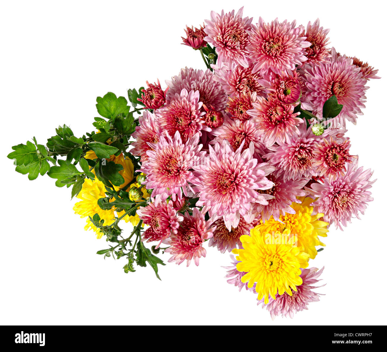 Autumn birthday Cut Out Stock Images & Pictures - Alamy