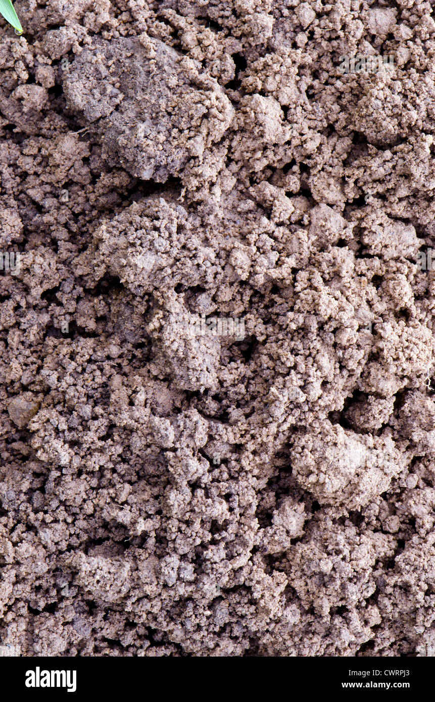 Macro closeup of ground background. Dirt detail fragment Stock Photo ...