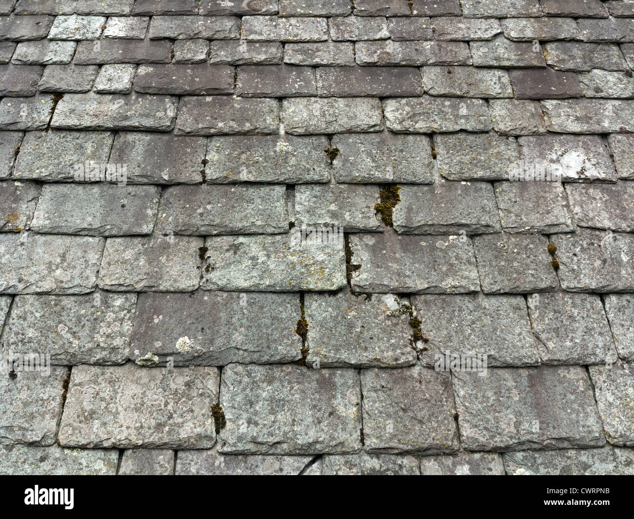 Slate canopy hi-res stock photography and images - Alamy