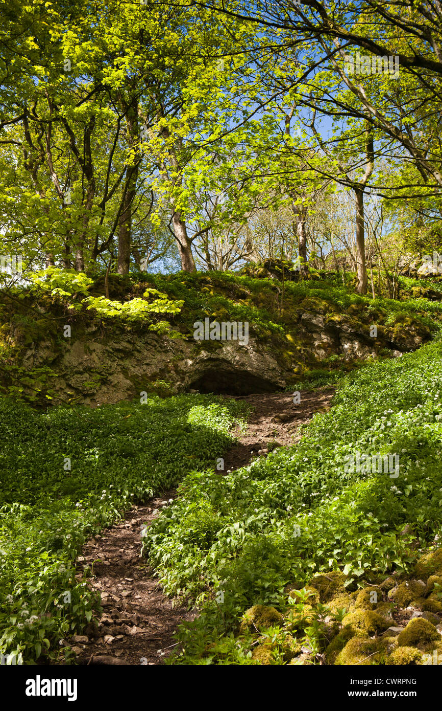 Malham cave hi-res stock photography and images - Alamy