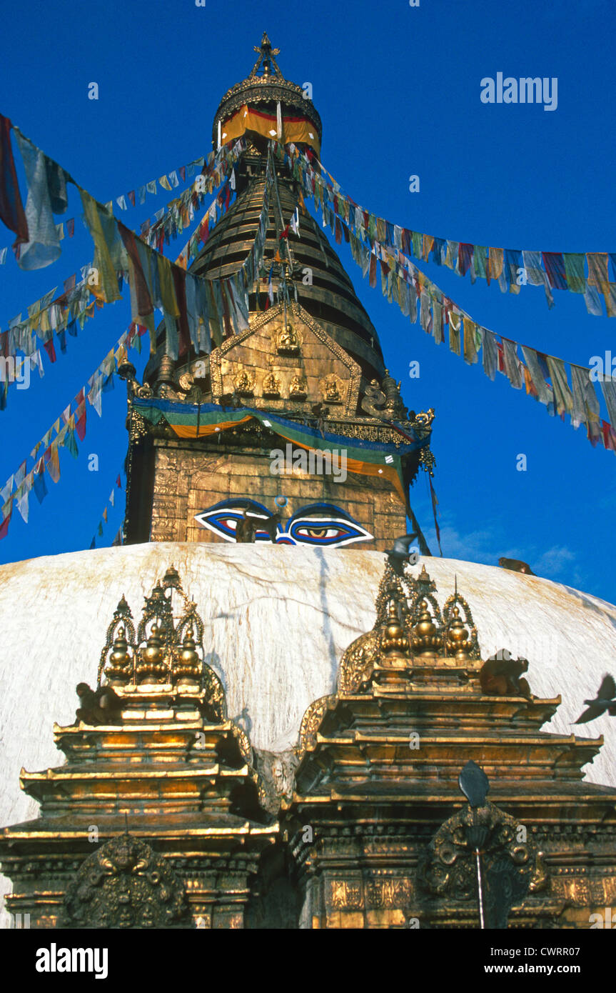 Swayambhunath Stupa Kathmandu Nepal Stock Photo - Alamy
