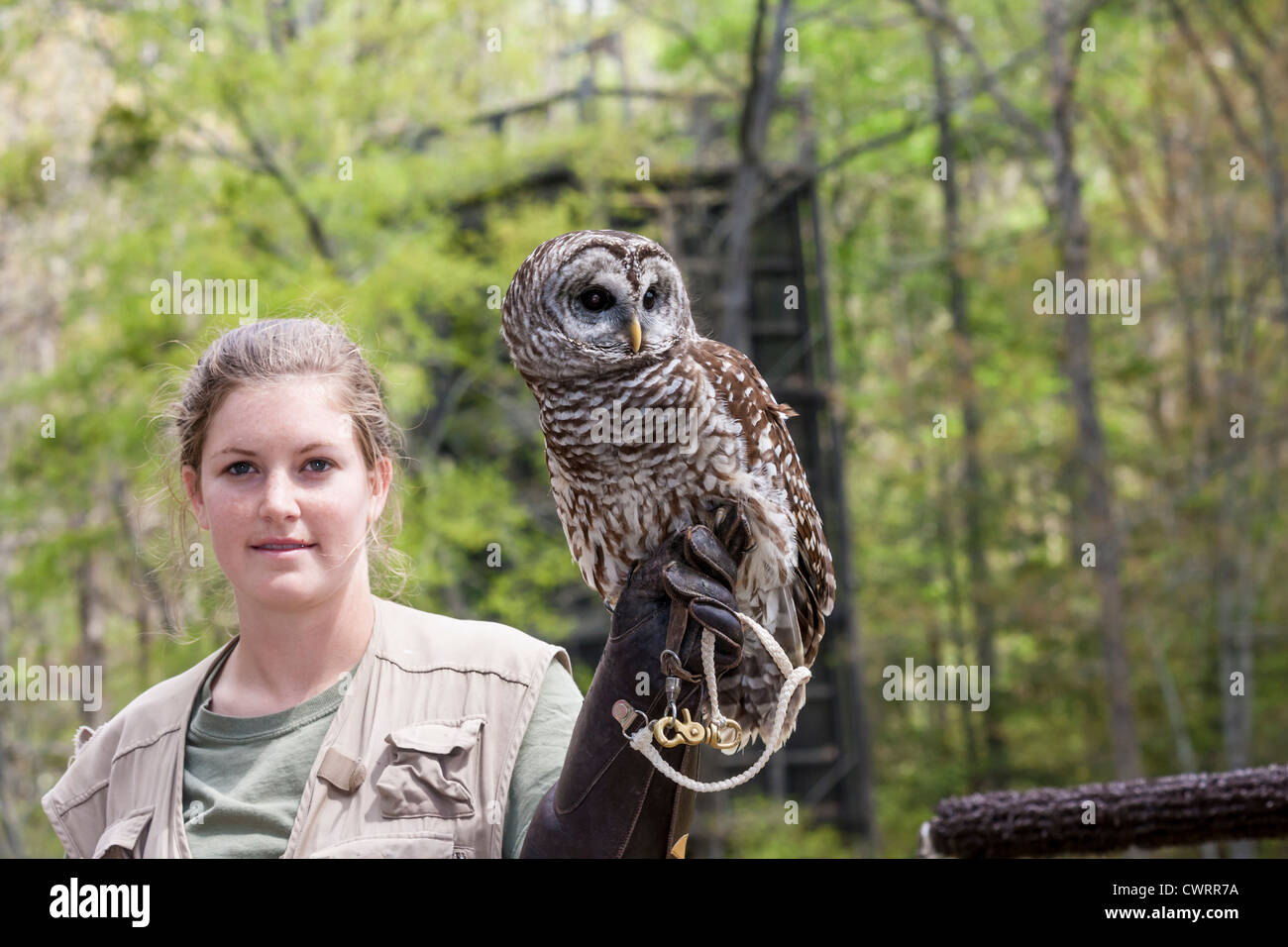 Wounded rehabilitation hi-res stock photography and images - Alamy