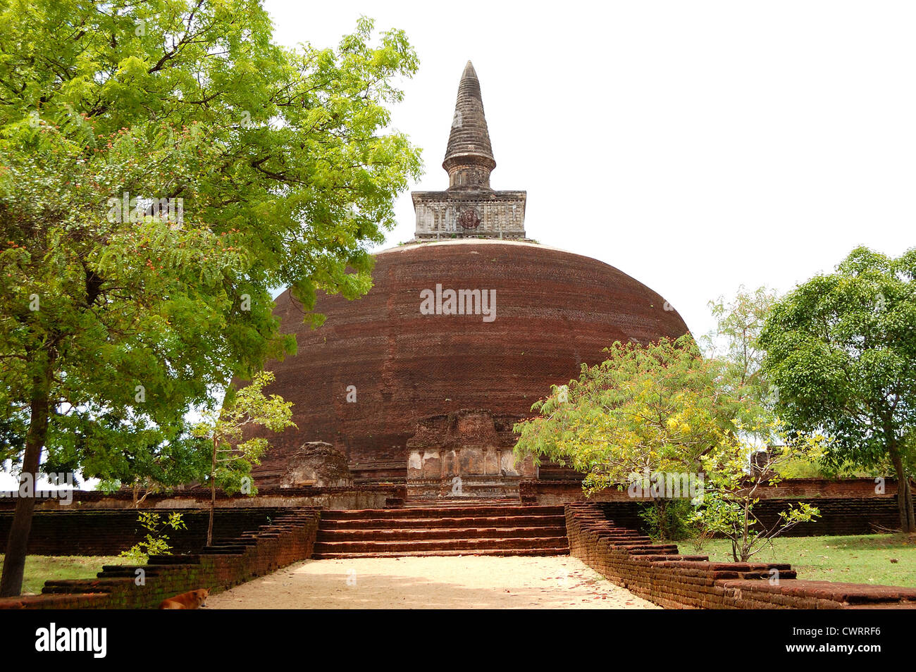 The Rankoth Vehera stupa in Polonnaruwa, Sri Lanka Stock Photo - Alamy