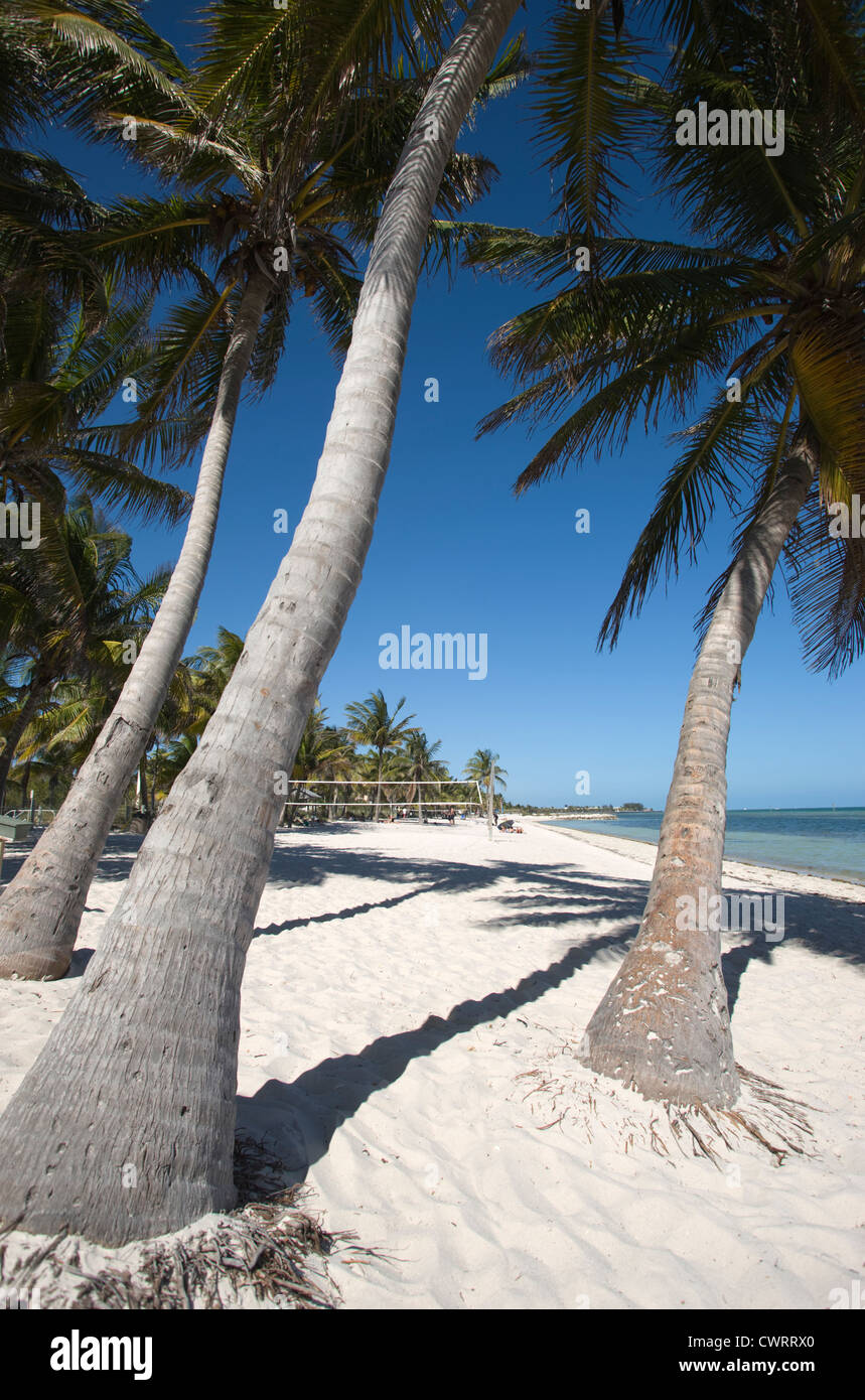 Sandy beach and florida keys hi-res stock photography and images - Alamy