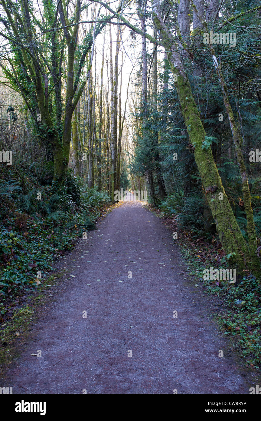 Two people run on a path through the woods Stock Photo - Alamy