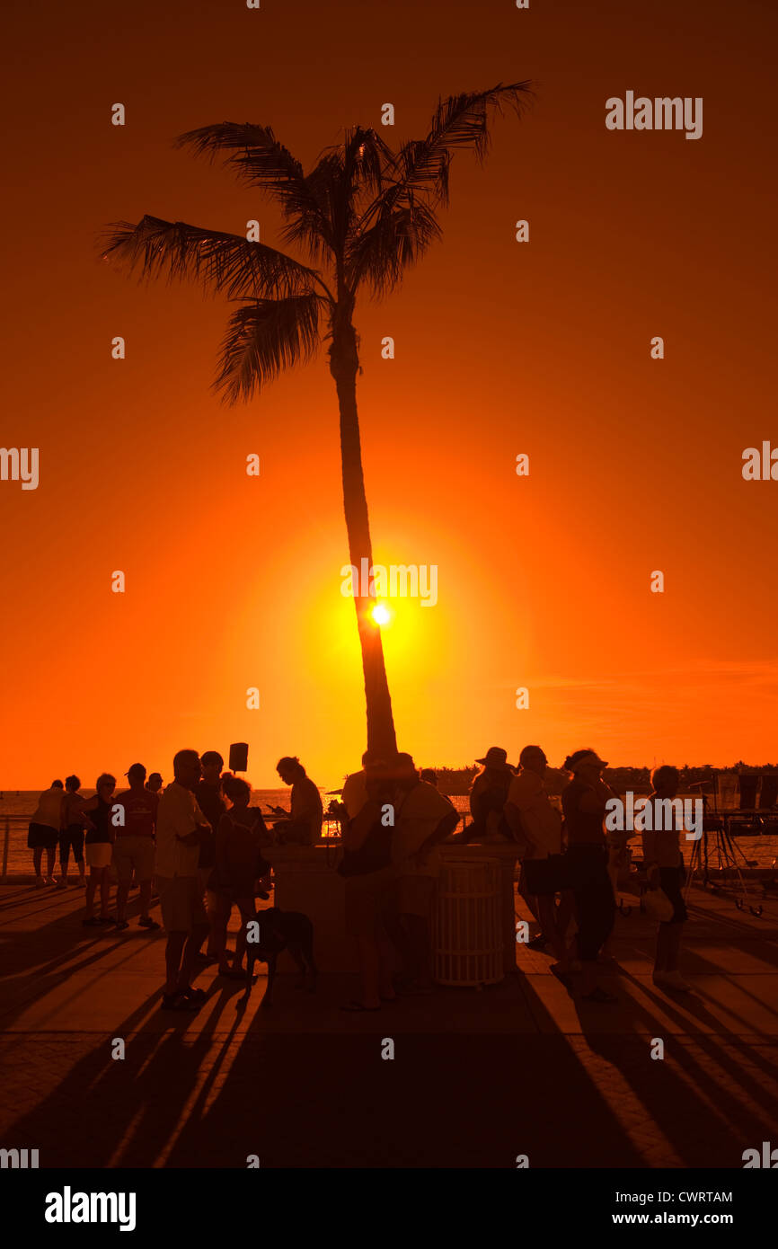 CROWD OF TOURISTS WATCHING SUNSET MALLORY SQUARE OLD TOWN HISTORIC ...