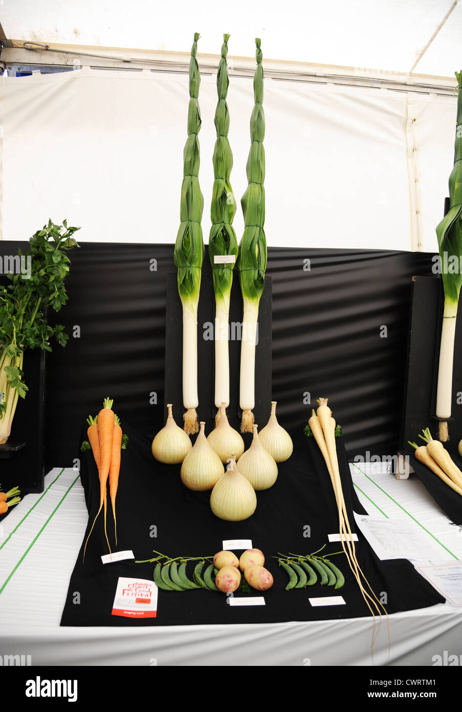 Winning vegetable display at a British town show Stock Photo - Alamy