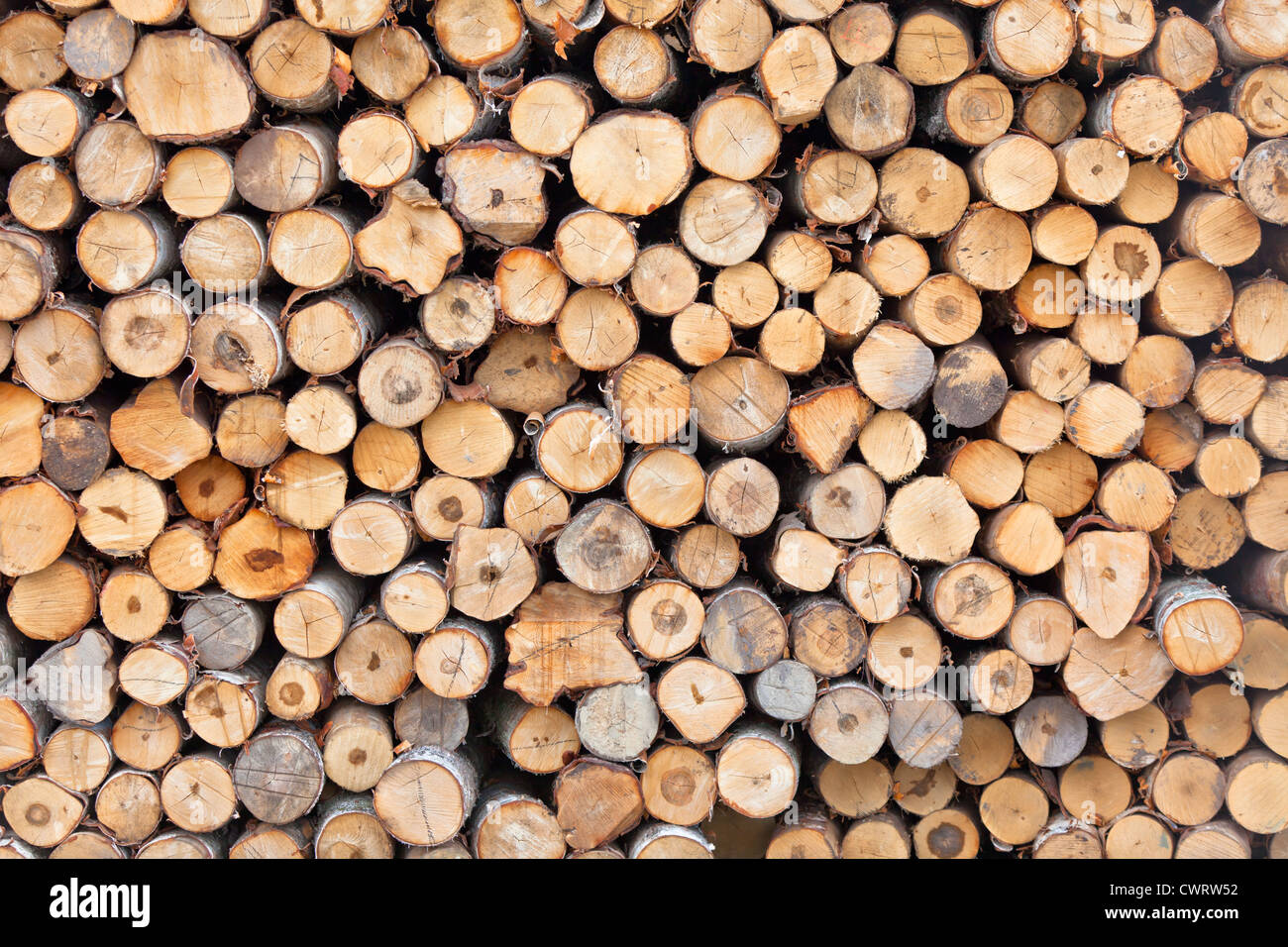 Big pile of logs as background. Horizontal shot Stock Photo - Alamy