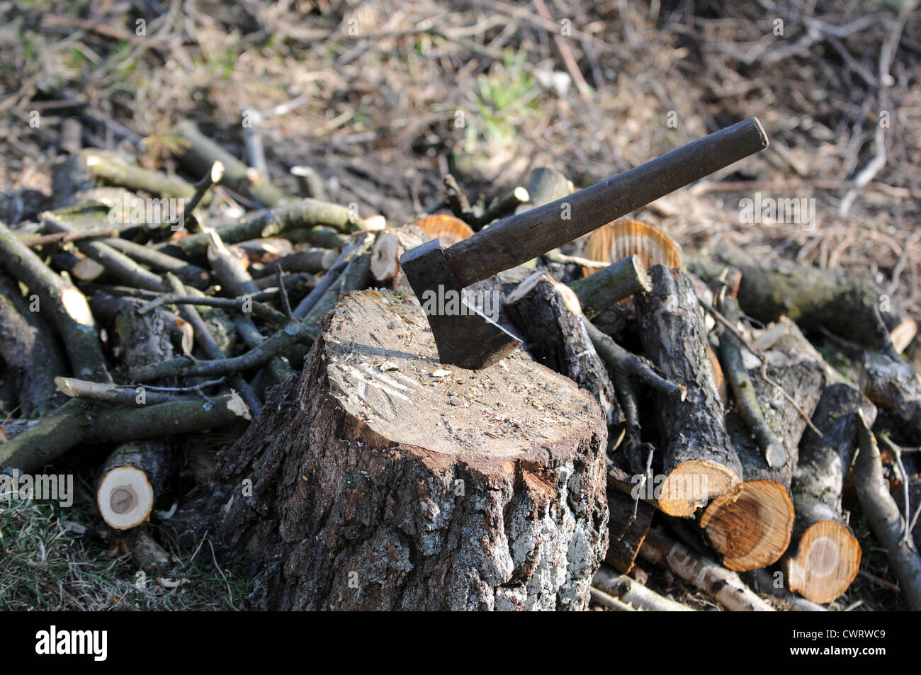 Axe in chopping block hi-res stock photography and images - Alamy