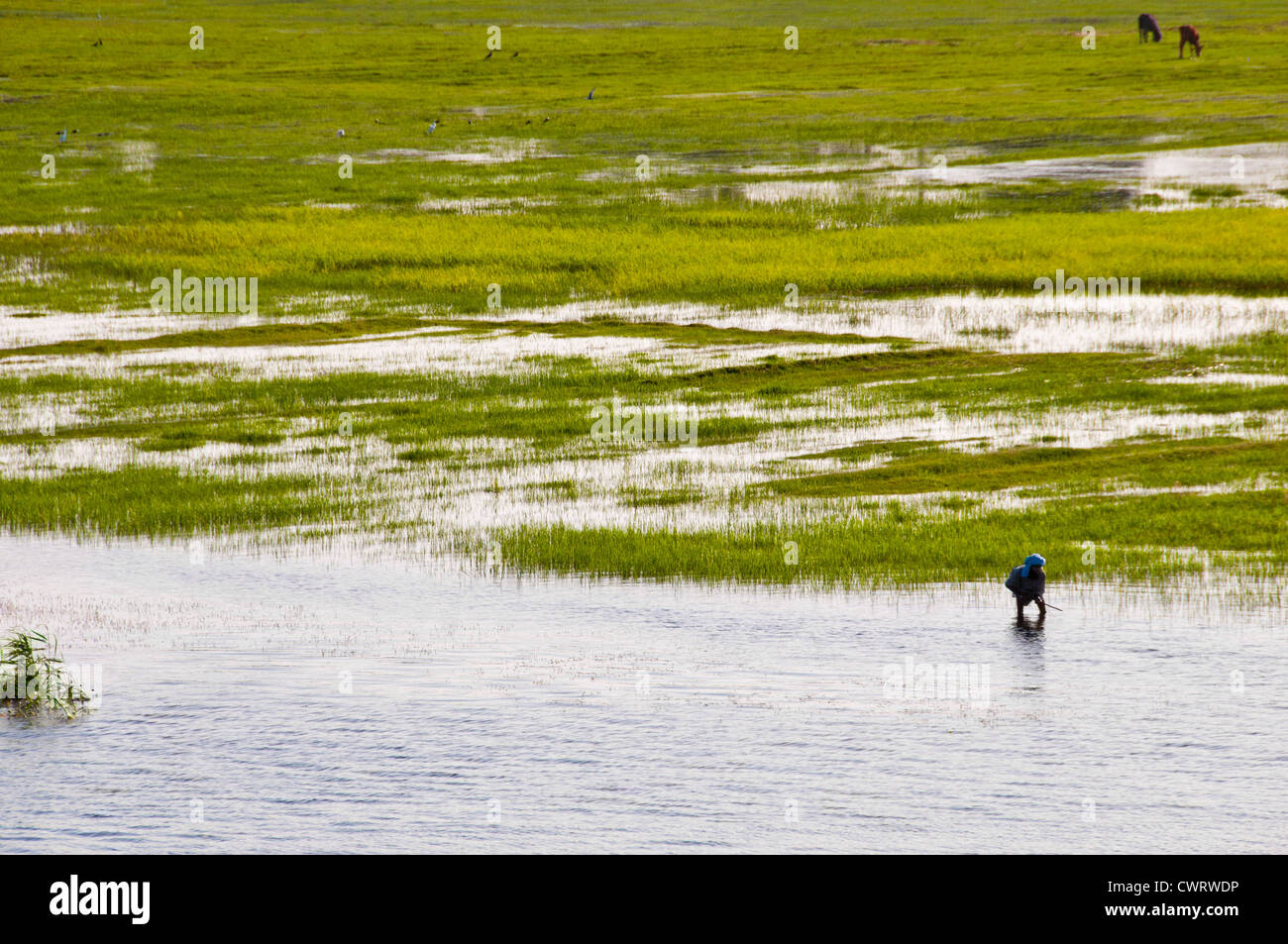 Nile river valley egypt hi-res stock photography and images - Alamy
