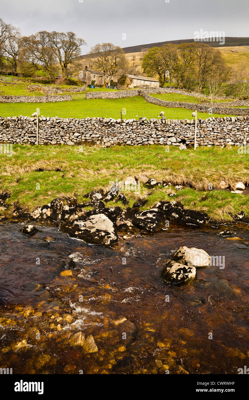 Deepdale in Langstrothdale in the Yorkshire Dales, North Yorkshire ...