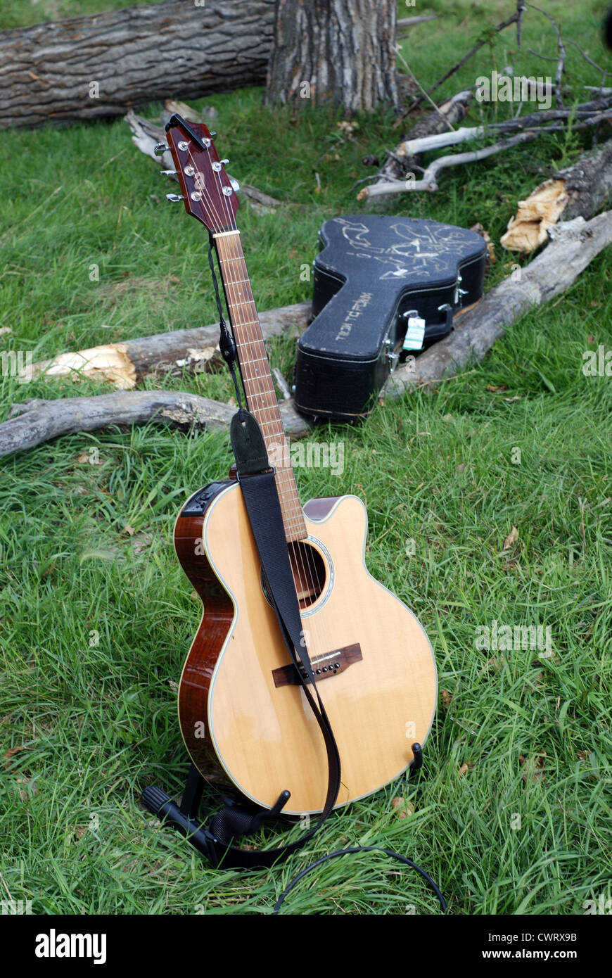 guitar sitting in stand with case in the background, outside with trees ...