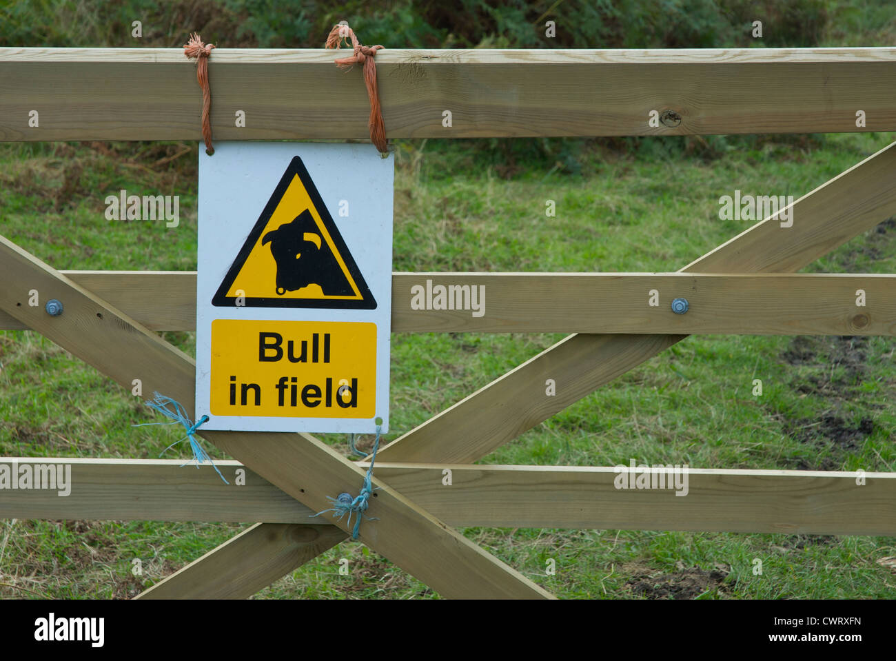 Sign on gate warning of bull in field, England UK Stock Photo - Alamy