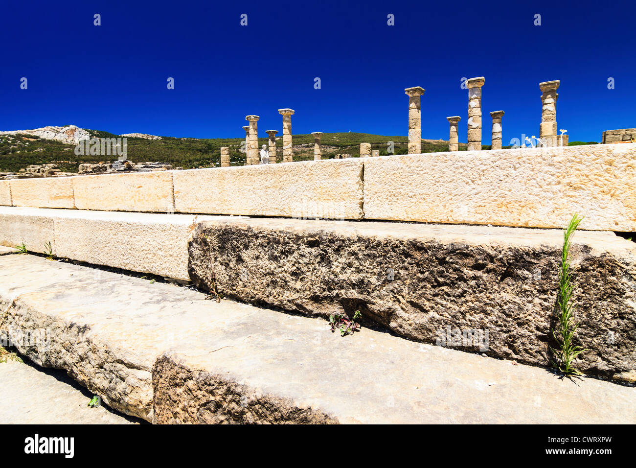 Basilica and forum at the Roman ruins of Baelo Claudia in Bolonia beach ...