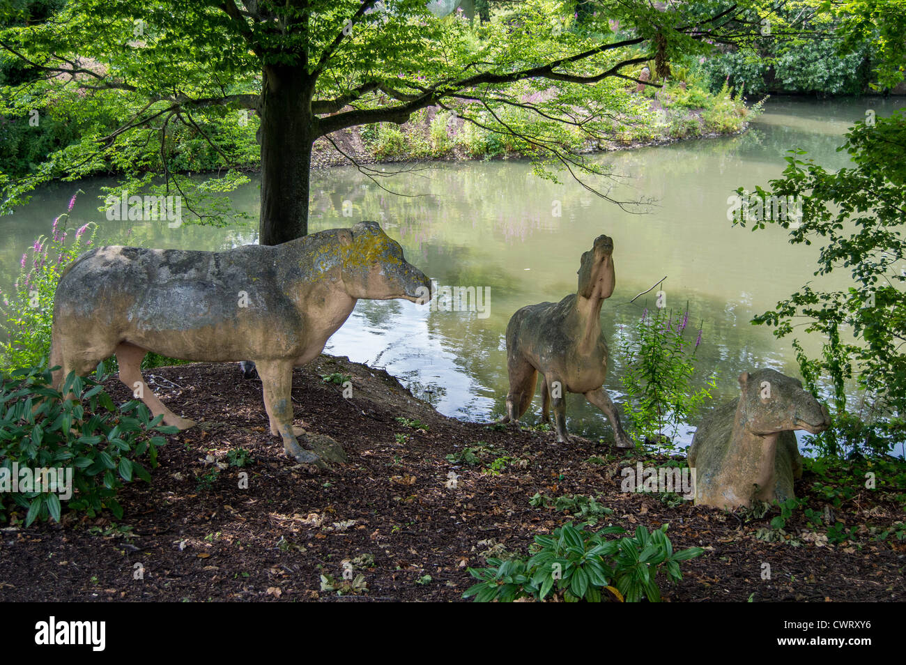 Anoplotherium at Crystal Palace Park dinosaurs by sculptor Benjamin ...