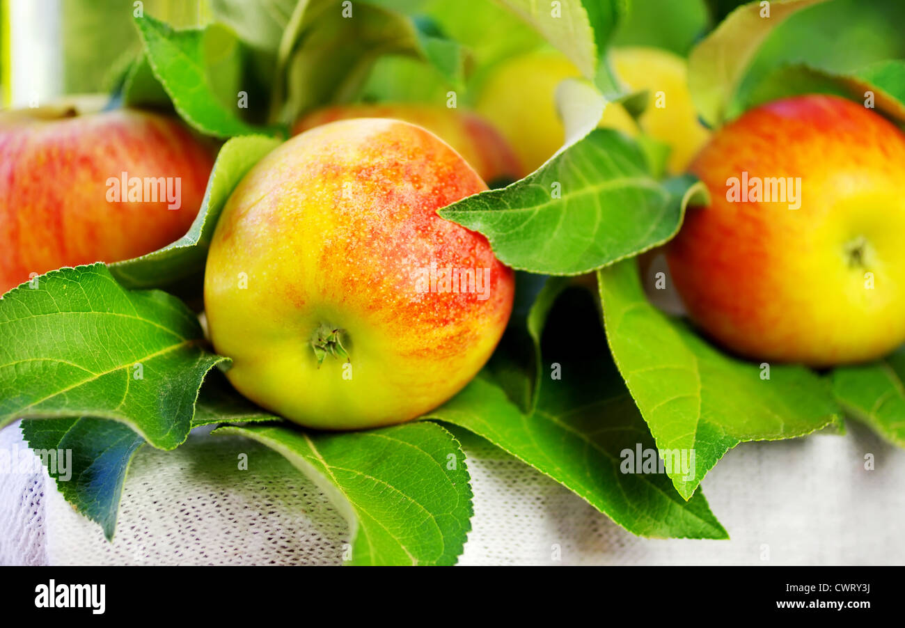 ripe red apples on table Stock Photo - Alamy
