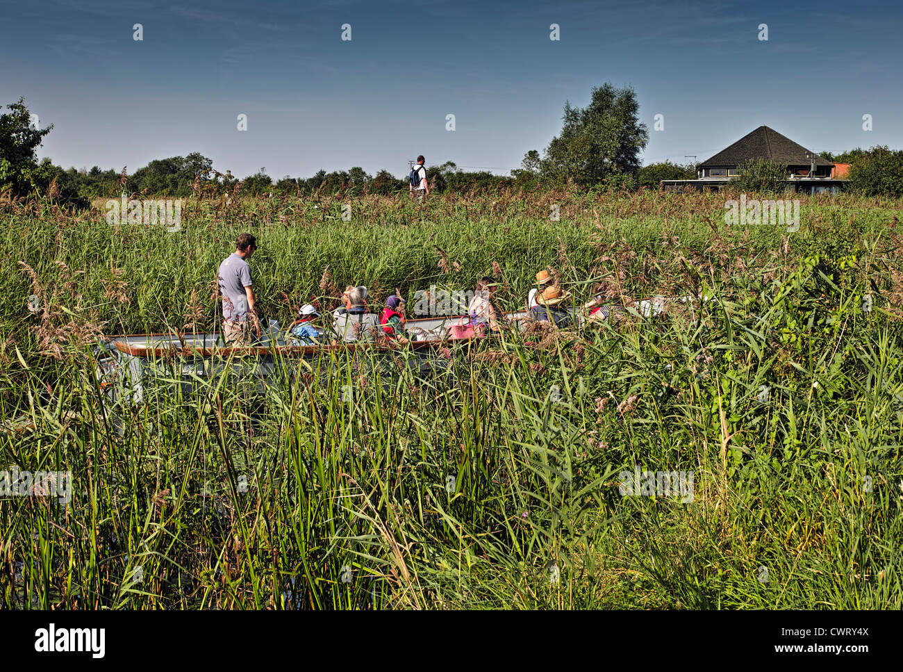 Wicken fen hi-res stock photography and images - Alamy