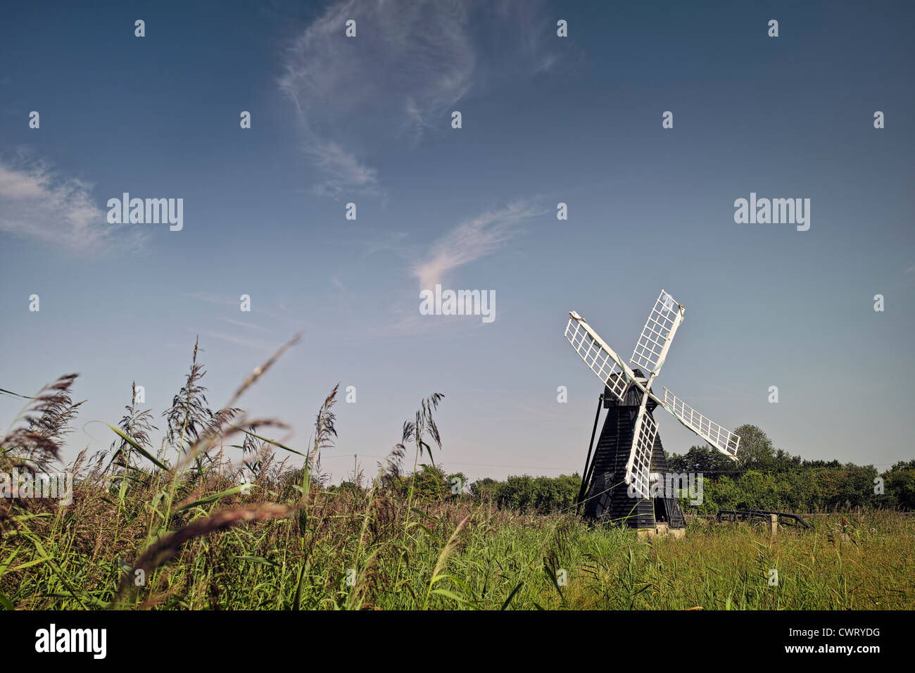 Fenland with windmill hi-res stock photography and images - Alamy