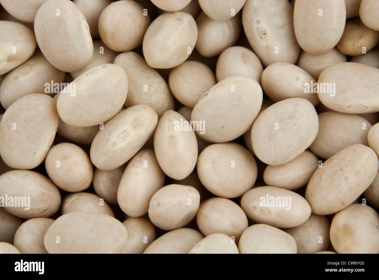 White common beans hi-res stock photography and images - Alamy
