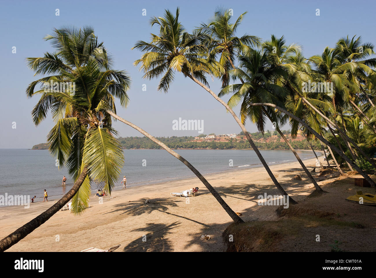 Elk201-1289 India, Goa, Bambolim beach Stock Photo - Alamy