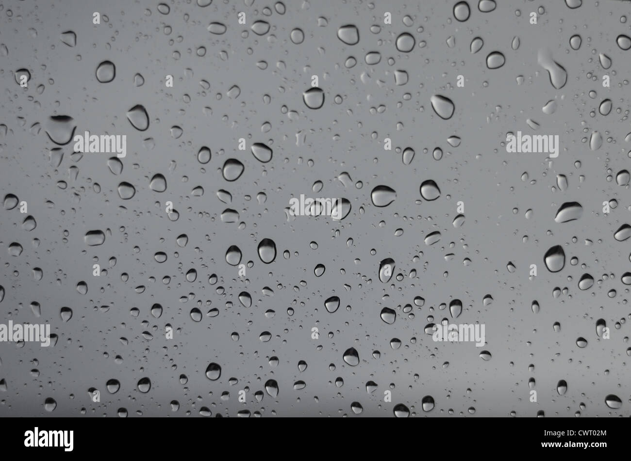 Raindrops on window Stock Photo - Alamy