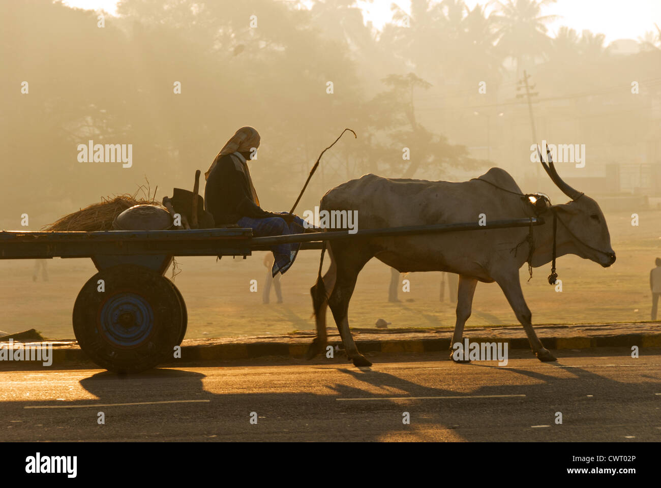 Farmer bullock cart hi-res stock photography and images - Alamy