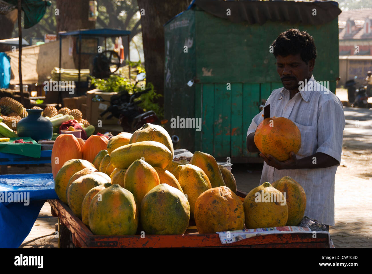 Papaya vendor india hi-res stock photography and images - Alamy