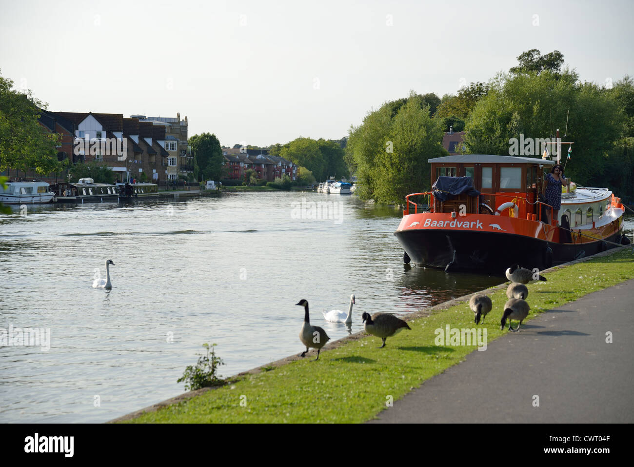 Riverside path on River Thames, Christchurch Meadows, Caversham ...