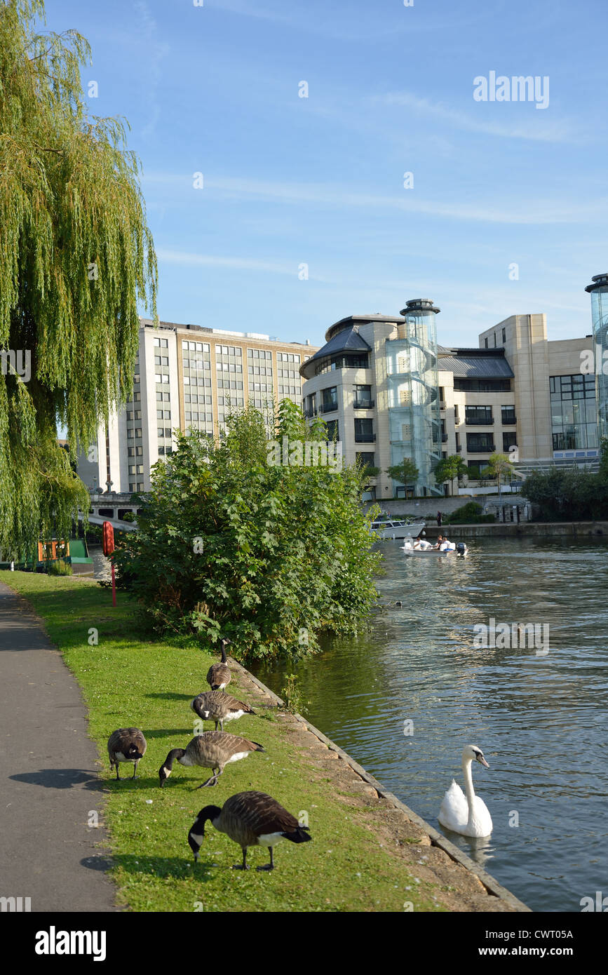 Riverside path on River Thames, Christchurch Meadows, Caversham ...